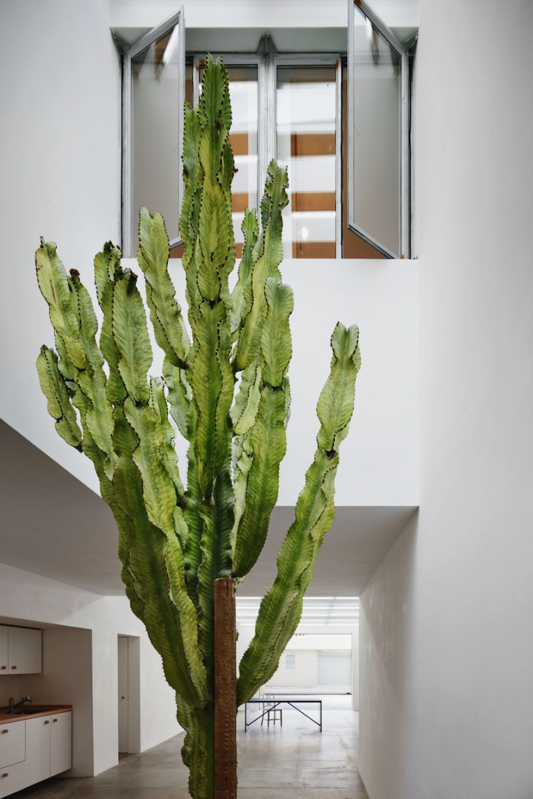 selected works | david saik studio